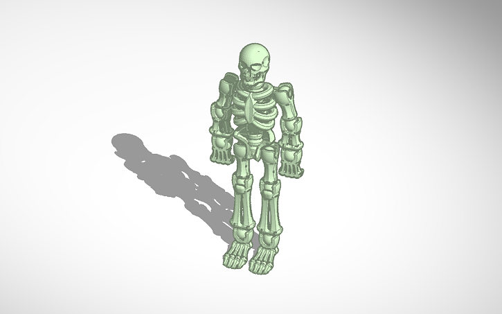3D design Bone anatomy/skeleton - Tinkercad