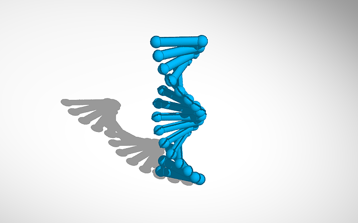 3D design dna | Tinkercad