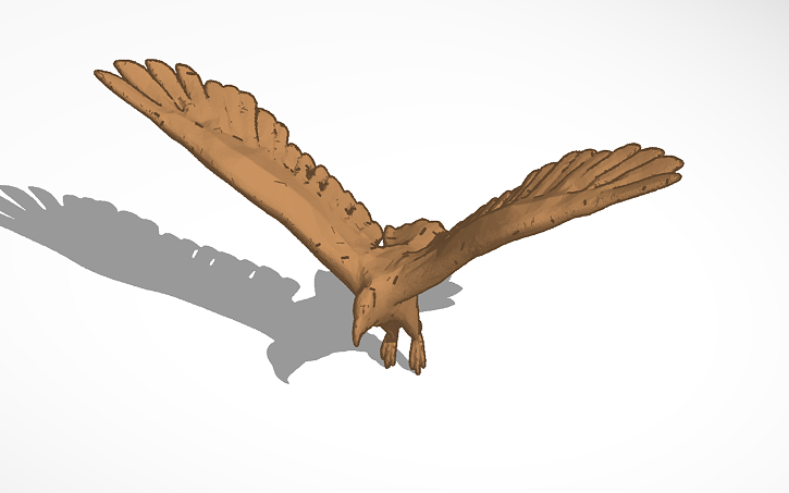 3D design eagle - Tinkercad