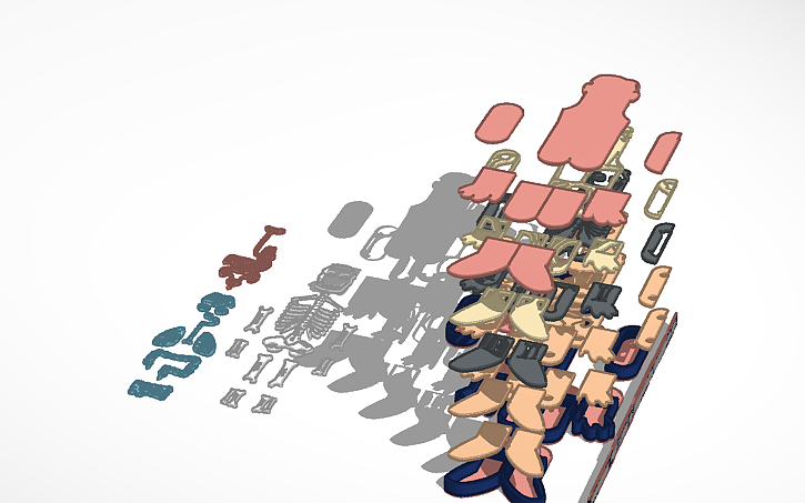 3d-design-mo-eco-human-anatomy-puzzle-and-toy-doll-tinkercad