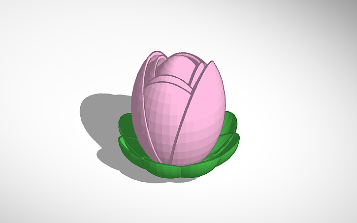 3D design flowers - Tinkercad