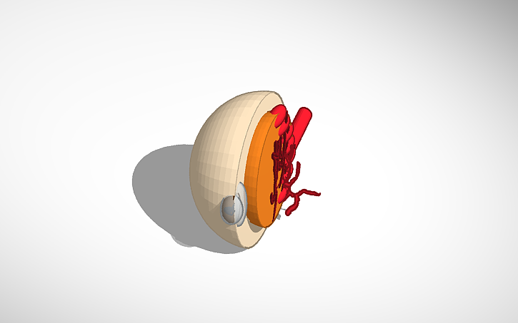 3D design 3D Eye Diagram - Tinkercad