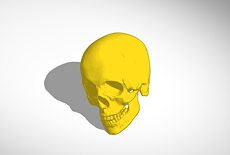 3D design Skull | Tinkercad