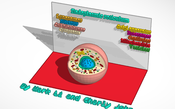 3D design Animal Cell - Tinkercad
