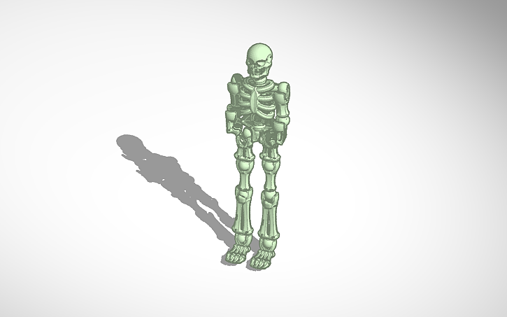 3D design AH SKELETON | Tinkercad