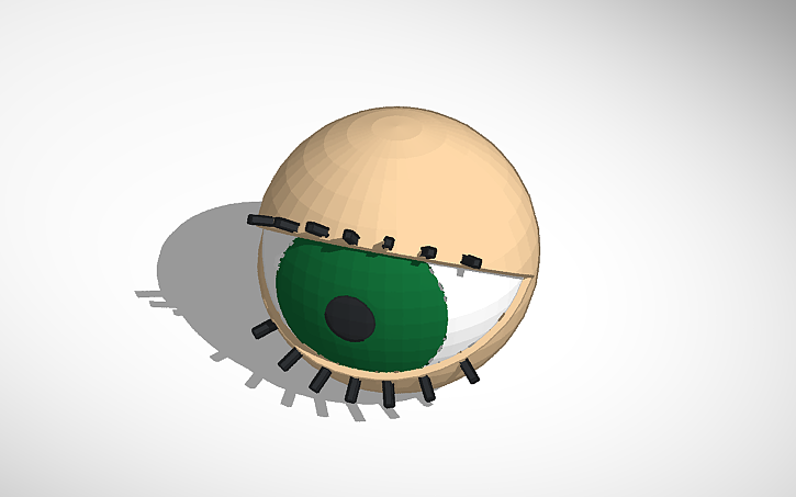 3D design Eyeball - Tinkercad