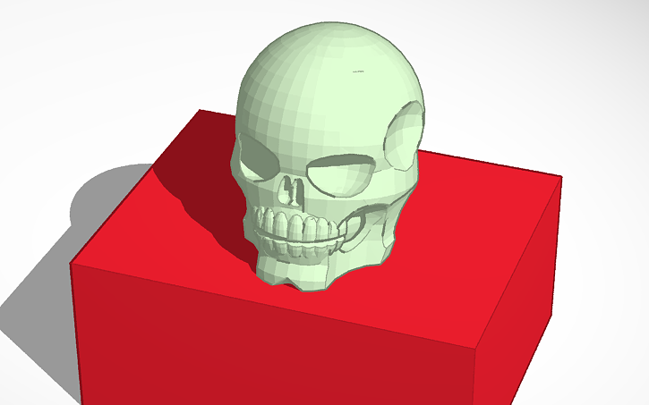 3D design skull - Tinkercad