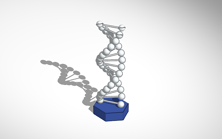3D design DNA Double Helix - Tinkercad