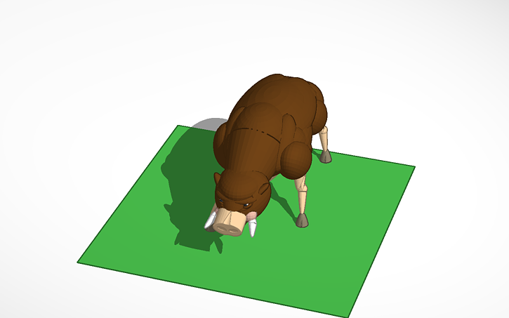 3D design Boar - Tinkercad