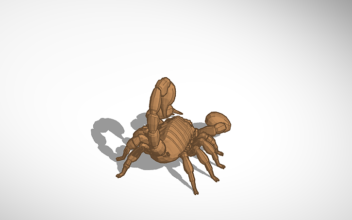3D design Scorpion - Tinkercad