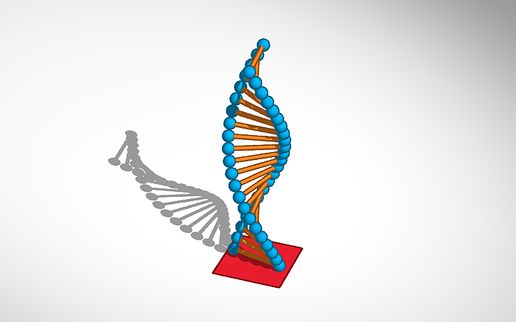 3D design DNA | Tinkercad