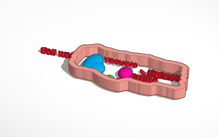 3D design Cell project | Tinkercad
