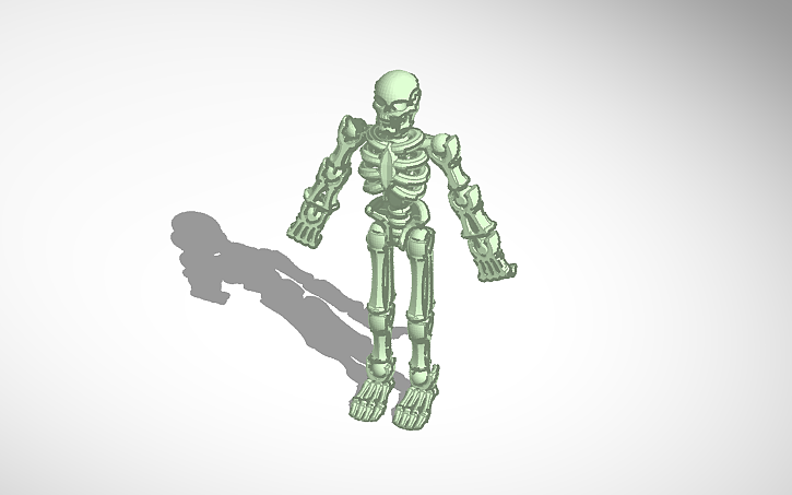 3D design Doctor's skeleton model | Tinkercad