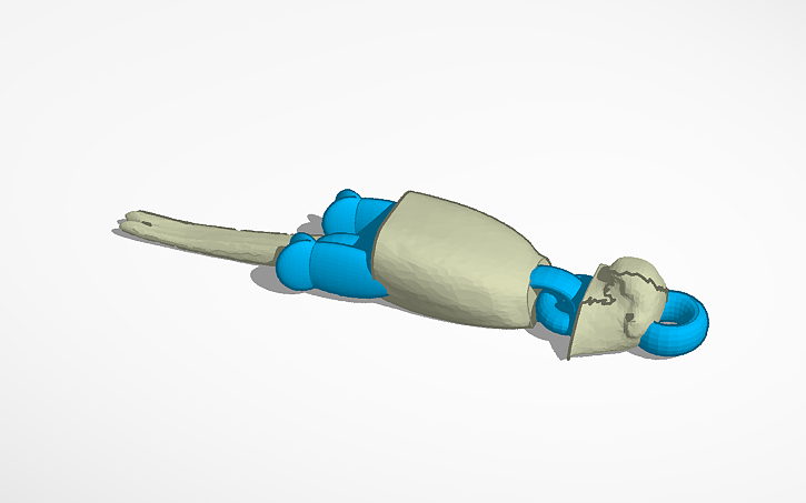 3D design Articulated Parrot - Tinkercad