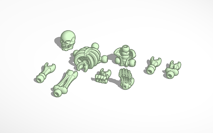 3D design HUMAN BODY - Tinkercad