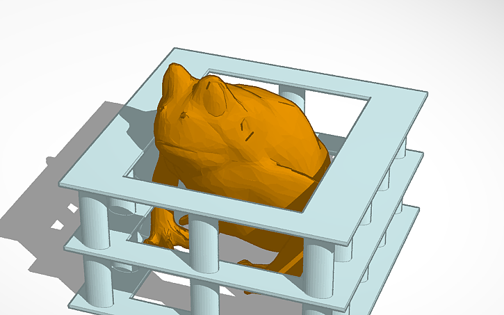 3D design Frog - Tinkercad