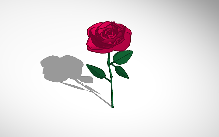 3D design Rose project - Tinkercad
