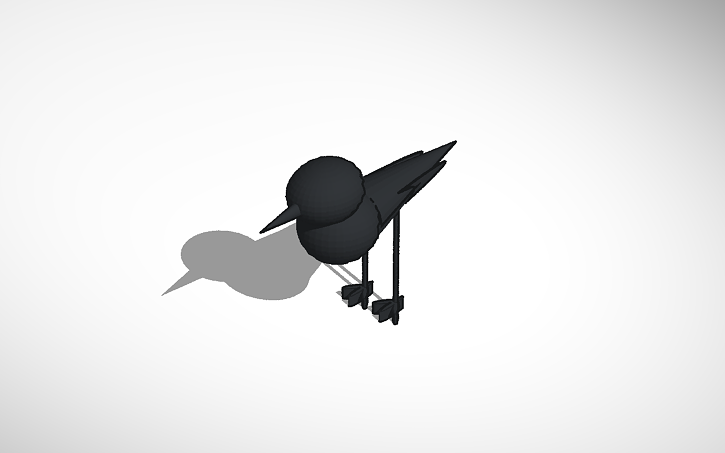 3D design Black Bird | Tinkercad