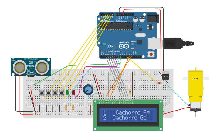 Circuit design PI - Tinkercad