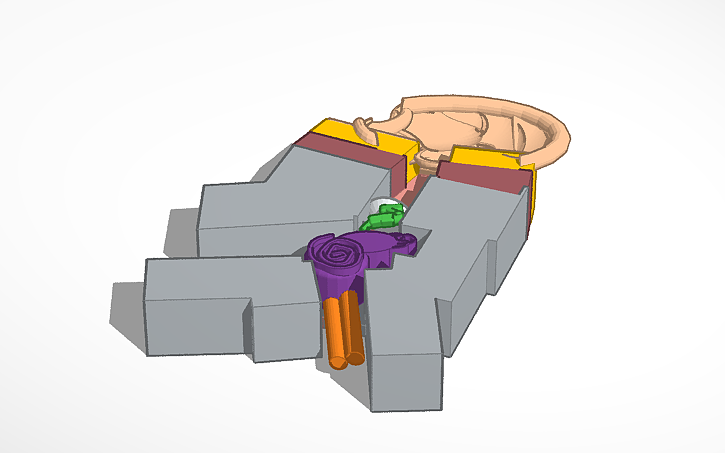 3D design Ear - Tinkercad