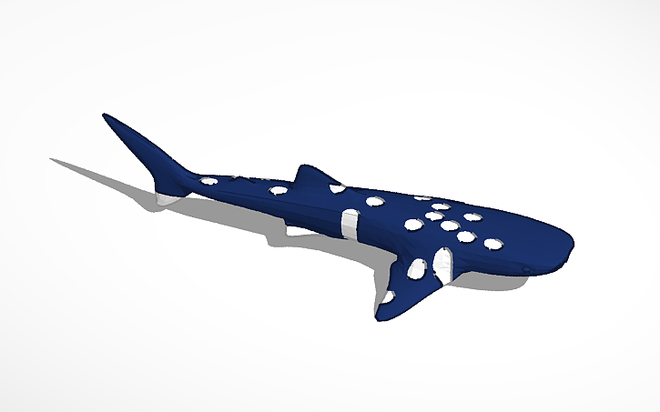3D design Whale shark - Tinkercad