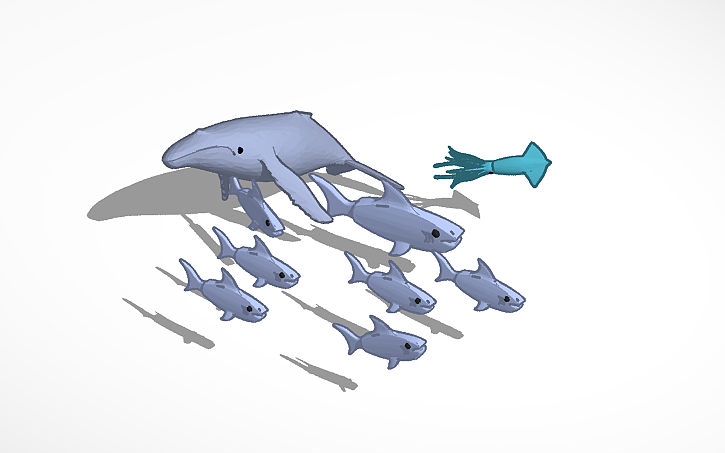 3D design fish haveing fun | Tinkercad