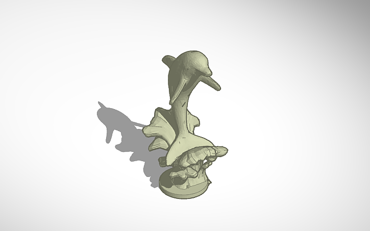 3D design dolphin - Tinkercad