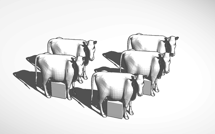 3D design Sam Cow - Tinkercad