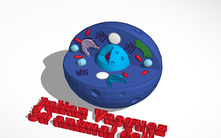 3D design julian vasquez 3D animal cell | Tinkercad