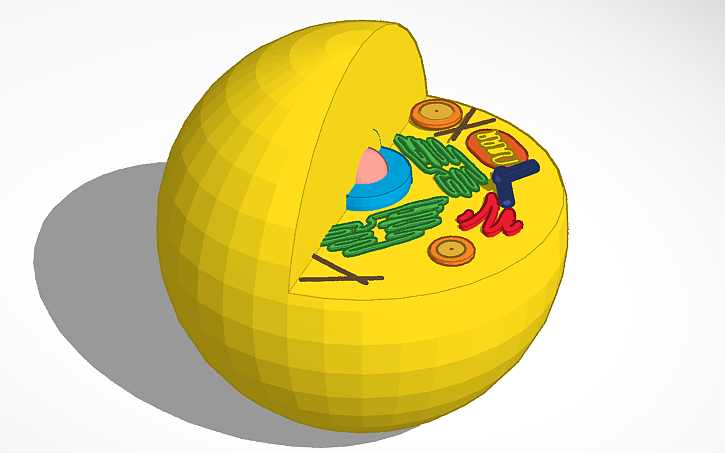 3D design Animal Cell-Demo | Tinkercad