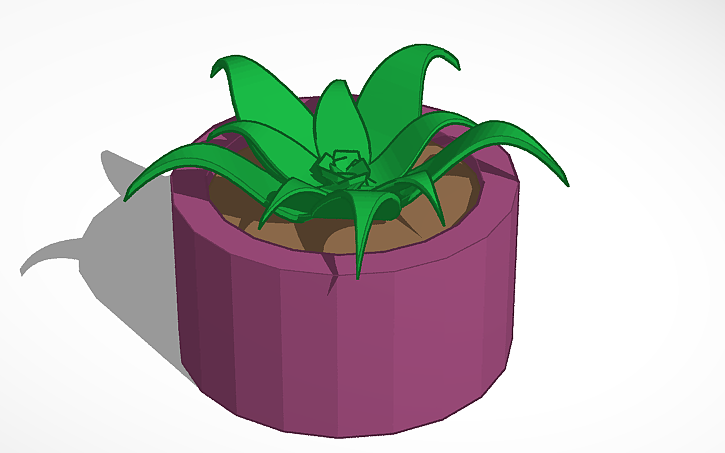 3D design plant - Tinkercad