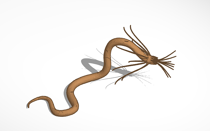 3D design Death worm | Tinkercad