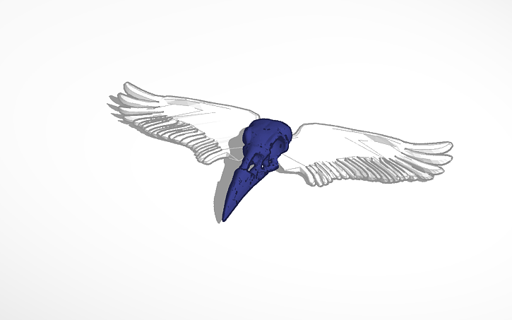 3D design raven skull with wings!! - Tinkercad