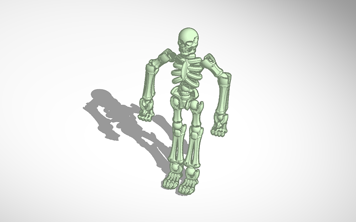 3D design skeliton - Tinkercad
