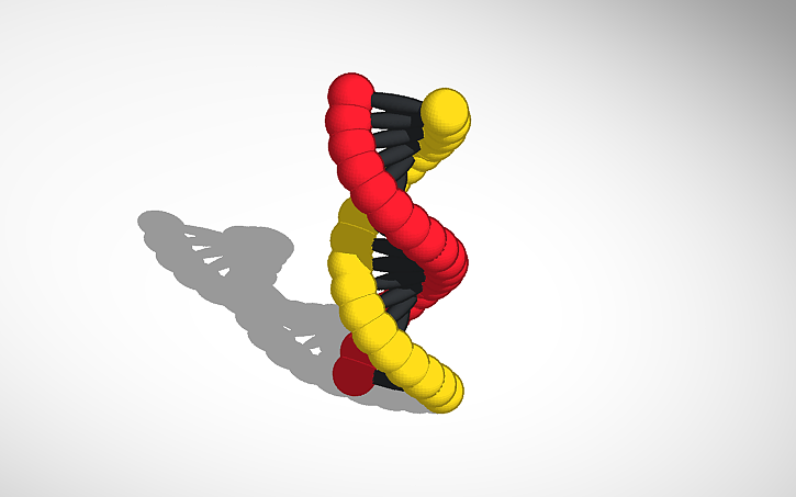 3D design ADN - Tinkercad