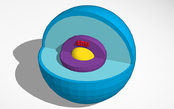 3D design Science Track - Tinkercad