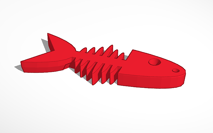 3D design Ryba - Tinkercad
