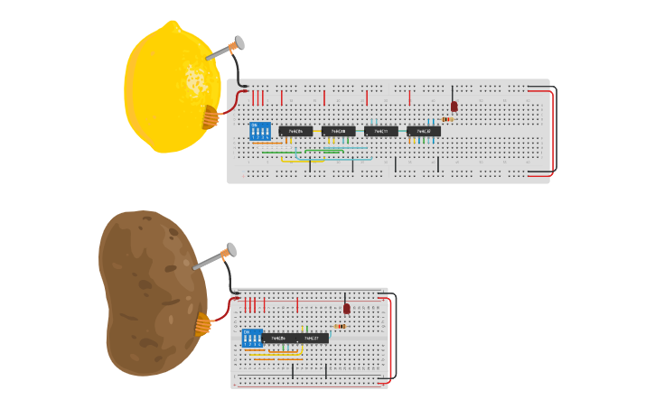 Circuit design Activity 2.1 | Tinkercad