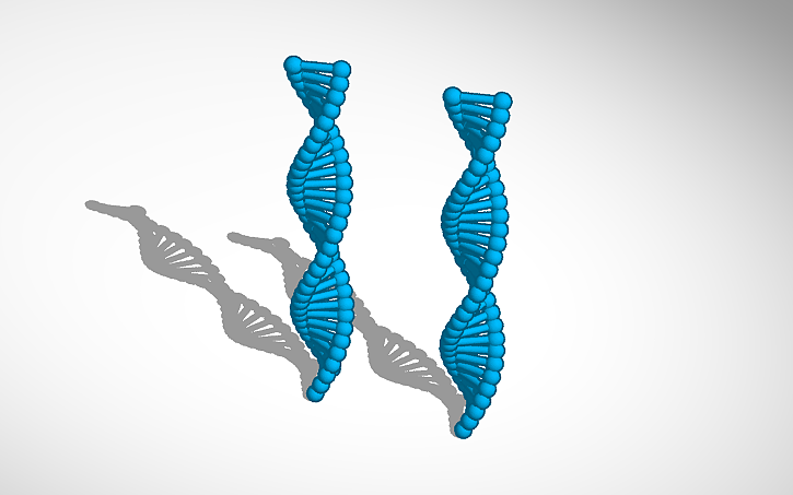 3D design home made DNA | Tinkercad