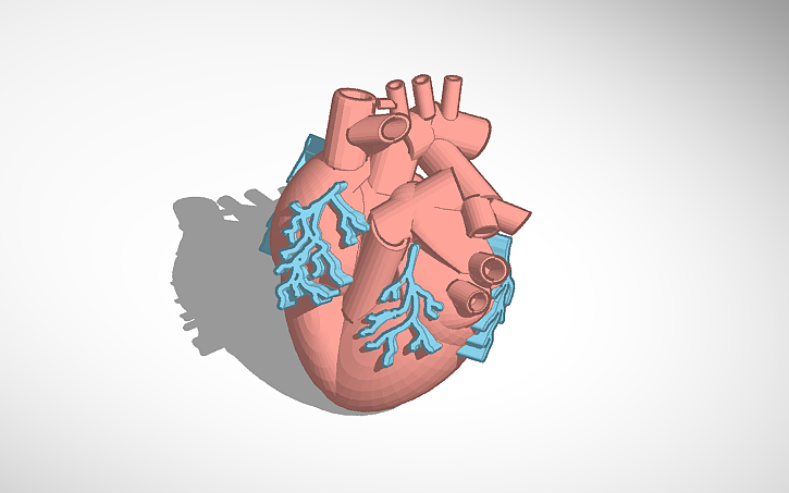 3D design Heart - Tinkercad
