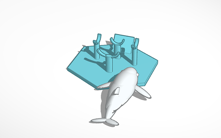 3D design whale - Tinkercad