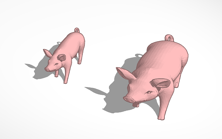 3D design pigs - Tinkercad