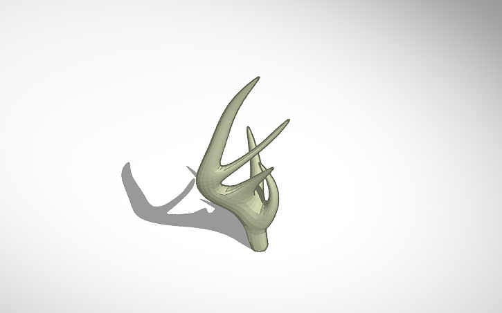 3D design Antler Left-Fixed1 | Tinkercad