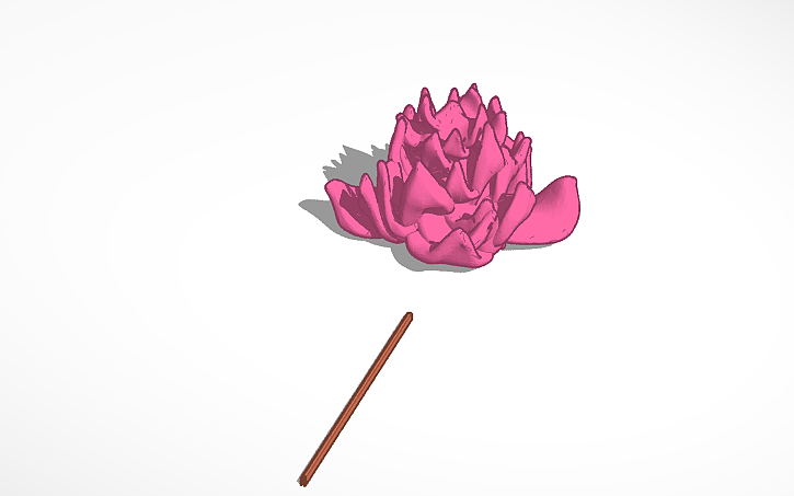 3D design Rosa | Tinkercad