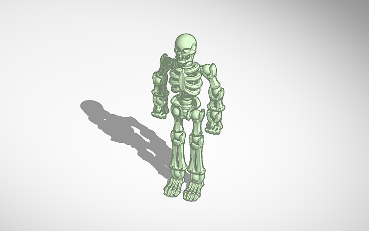 3D design Skeleton - Tinkercad