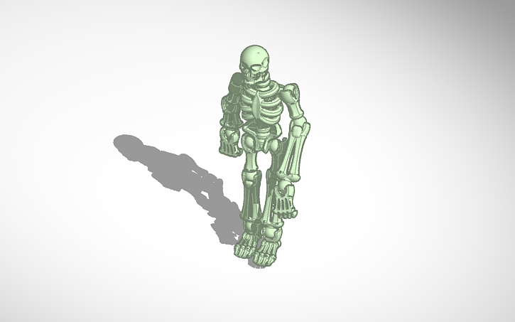 3D design skeleton - Tinkercad