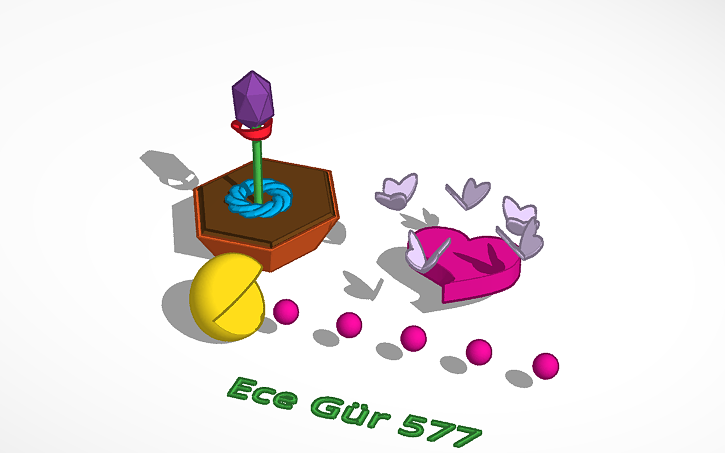 3d Design Şekiller Shapes Tinkercad