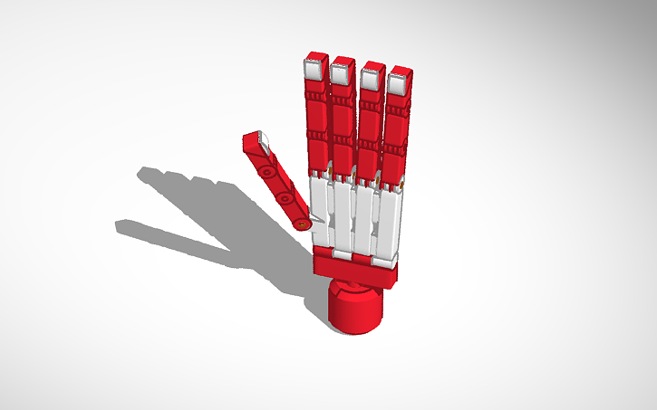 3D design arm prosthetics - Tinkercad
