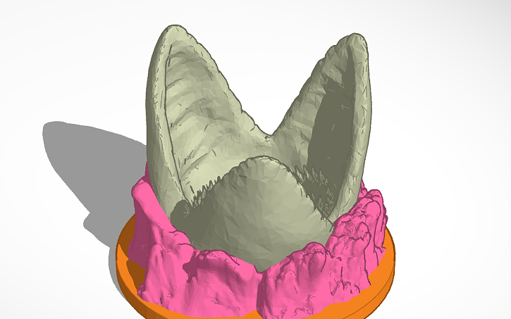 3D design Worm - Tinkercad