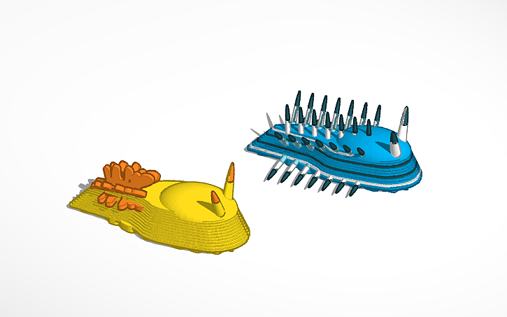 3D design Sea Slugs! - Tinkercad